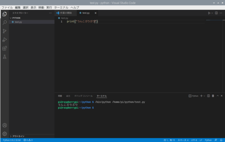 Raspberry Pi OSにVisual Studio Code(日本語)をインストールする手順【Python設定】 | おとといからきたいも